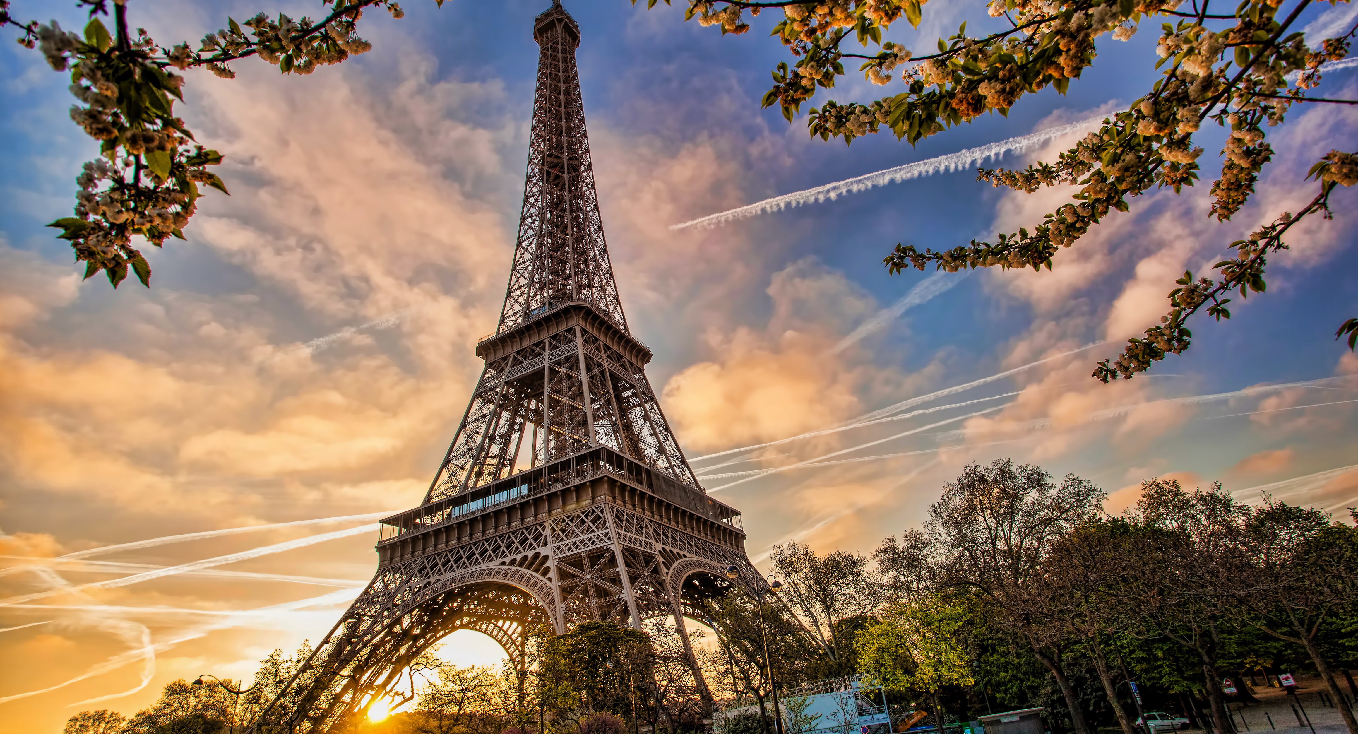 Acellus French I | Acellus Learning System