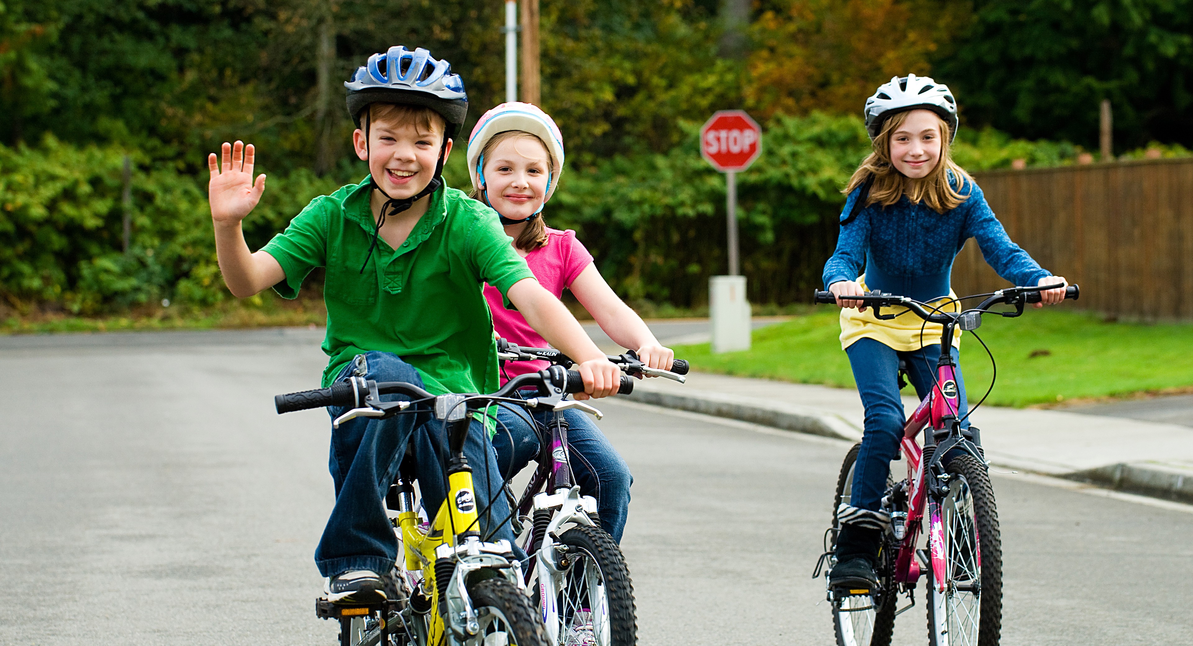 Grade 1 Social Studies | Acellus Learning System