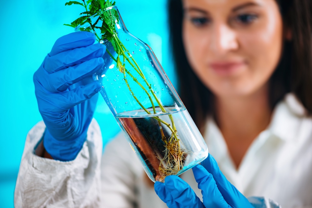 Integrated Science 1 | Acellus Learning System